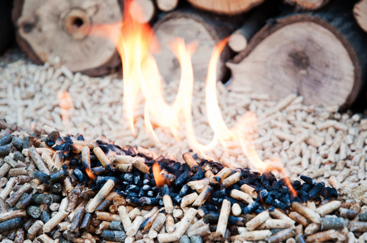 Biomass Boiler Guide: All You Need to Know - Heat Pump Source